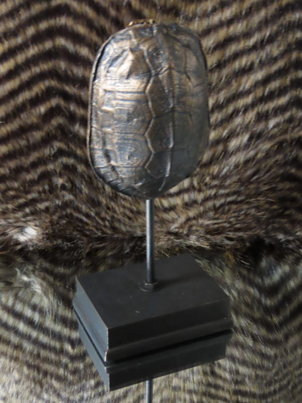 Replica Opgezette Schildpad Schild Bruin