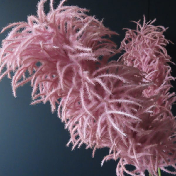 Artistieke Roze Pluim