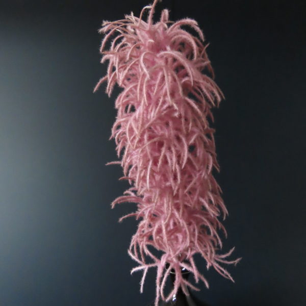 Artistieke Roze Pluim